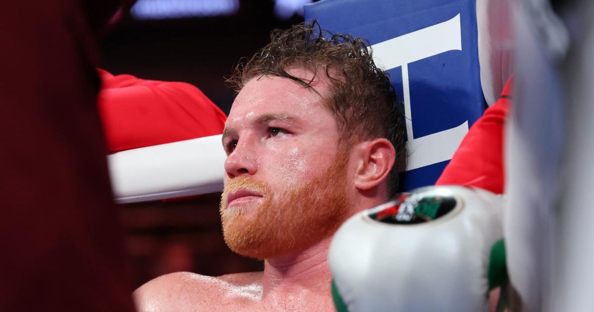 Fightin' Words, Ep 18 : L'action de Canelo Alvarez est-elle en train de ...